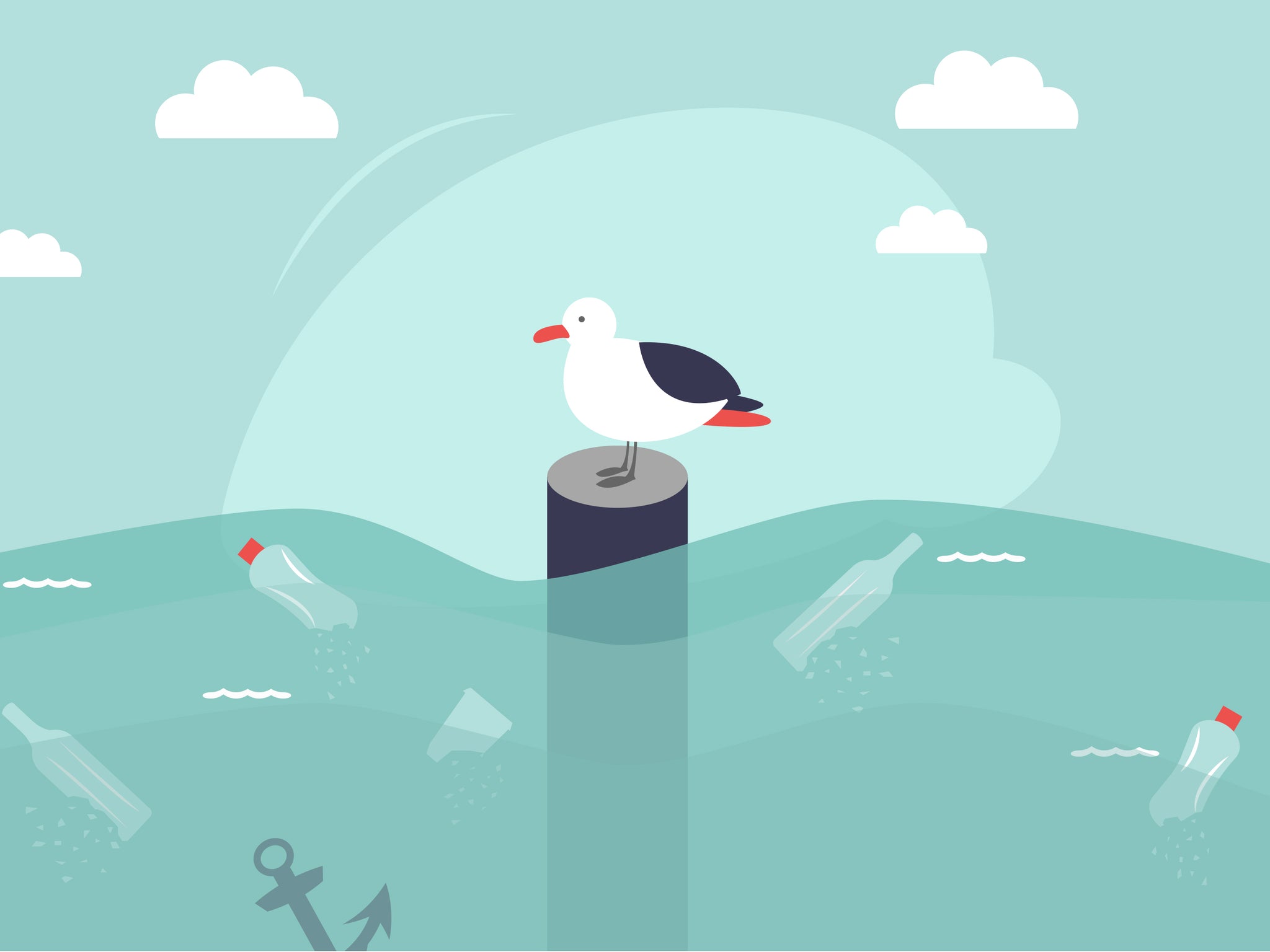 Understanding Microplastics & How They Affect Our Marine Life – Manna ...